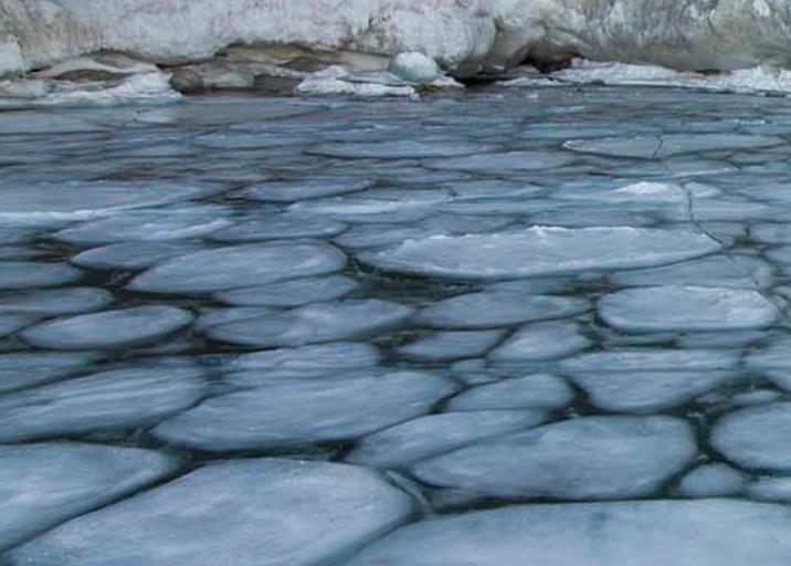 IFRS Foundation takes over TPT’s transition plan disclosure resources ...