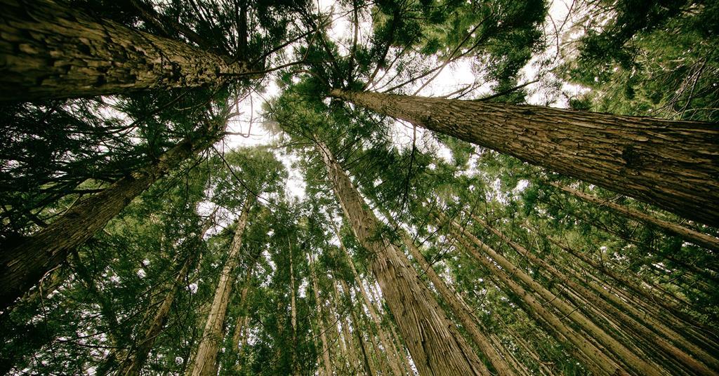 APG, PGGM set out investment routes to UN development goals | News | IPE