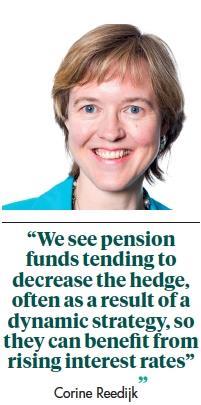 Dutch hedging strategies: Dynamic approaches in favour | Features | IPE