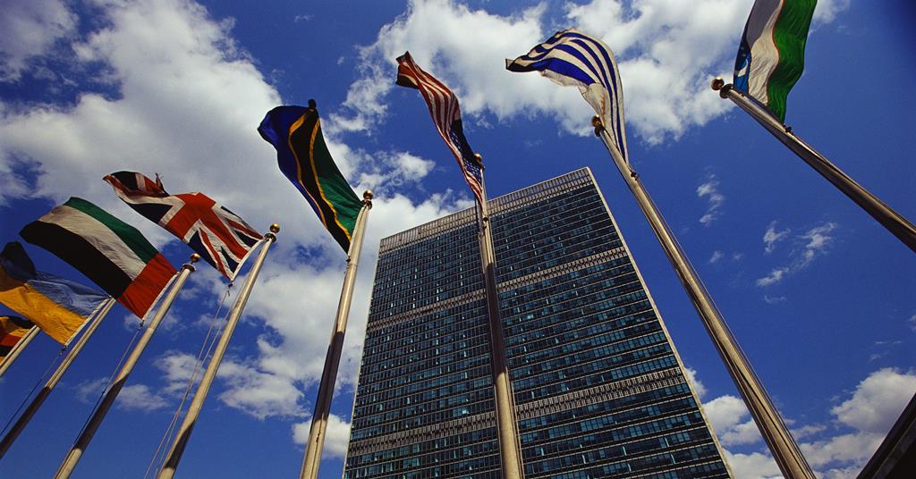 Net Zero Asset Owner Alliance names co-chairs from CDC, UN pension fund ...