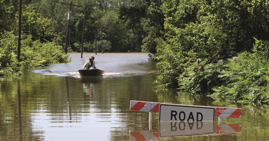 Net-zero goals in a post-COP30 world | Special Report | IPE