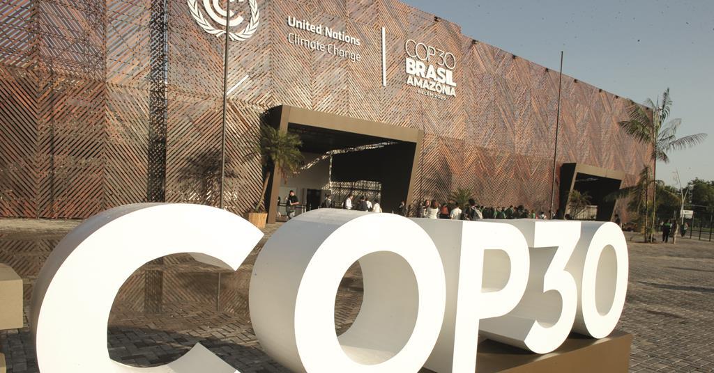 Net-zero goals in a post-COP30 world | Special Report | IPE