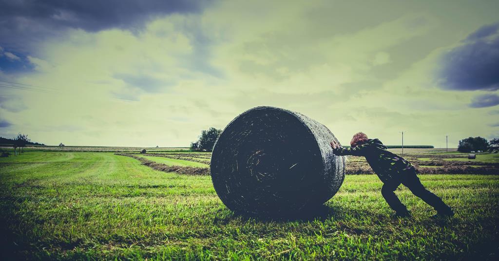 The ‘stewardship recession’: Asset owners push back | Analysis | IPE