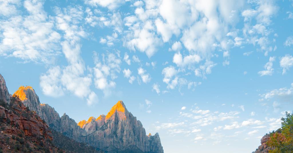 NBIM lays out expectations on nature | News | IPE