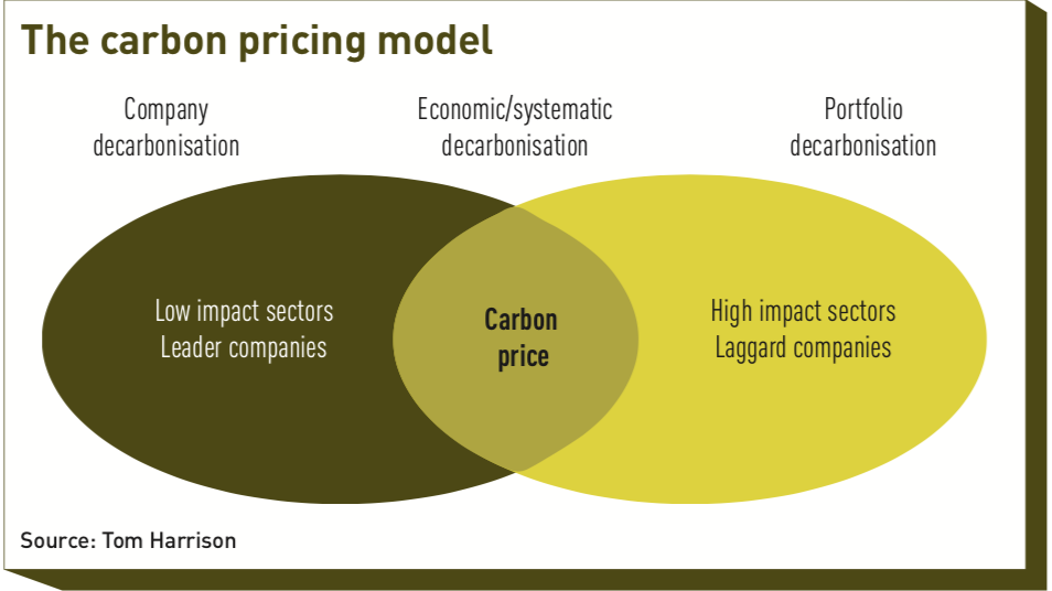 Long term matters: What kind of decarbonisation matters most ...