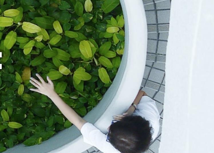 LGPS Central launches stewardship service to ease governance burden ...