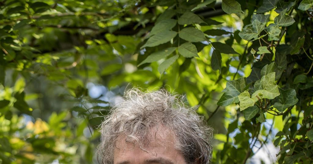 Dutch doctors fund’s concentrated portfolio a ‘risky strategy ...