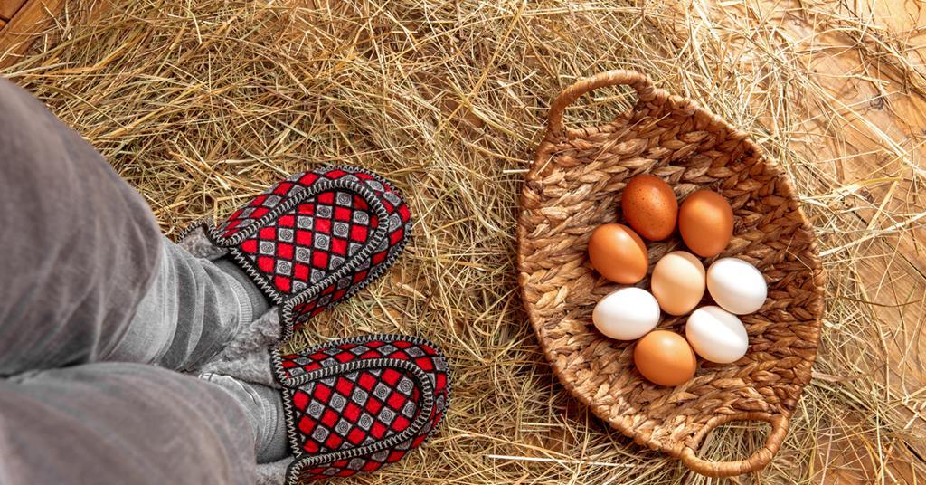 Dutch doctors fund’s concentrated portfolio a ‘risky strategy ...