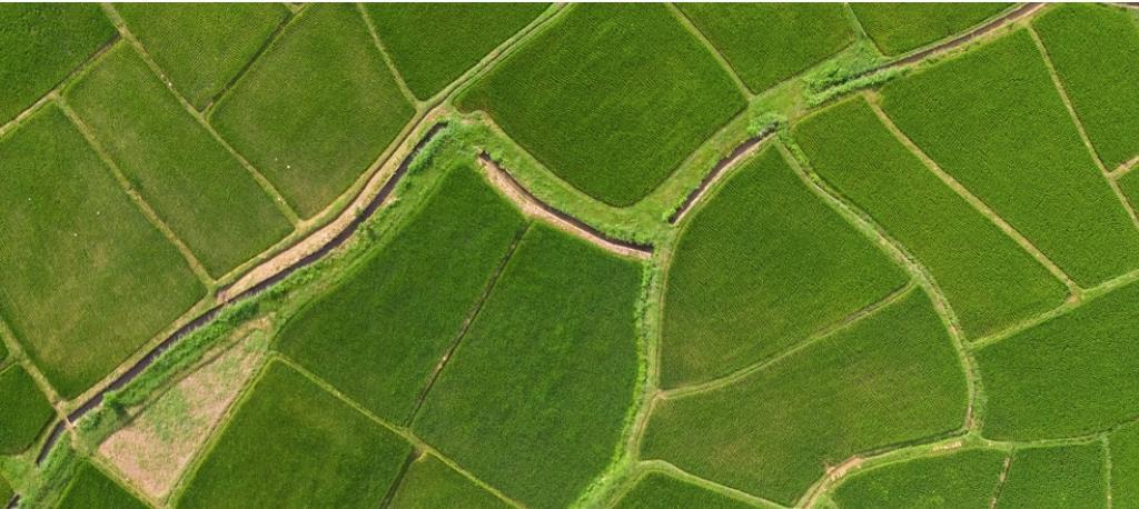 EU rule makers settle on 85% taxonomy alignment for green bond label ...