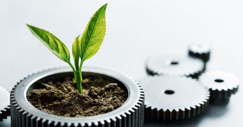 KENFO slams Greenpeace’s claim of poorly effective ESG strategy | News ...