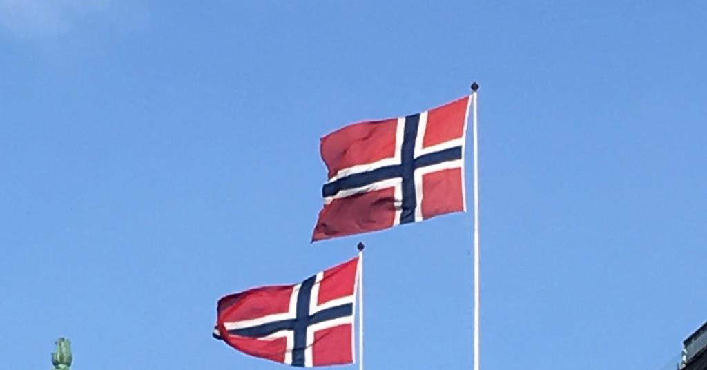 Norway's domestic SWF names chief executive [updated] | News | IPE