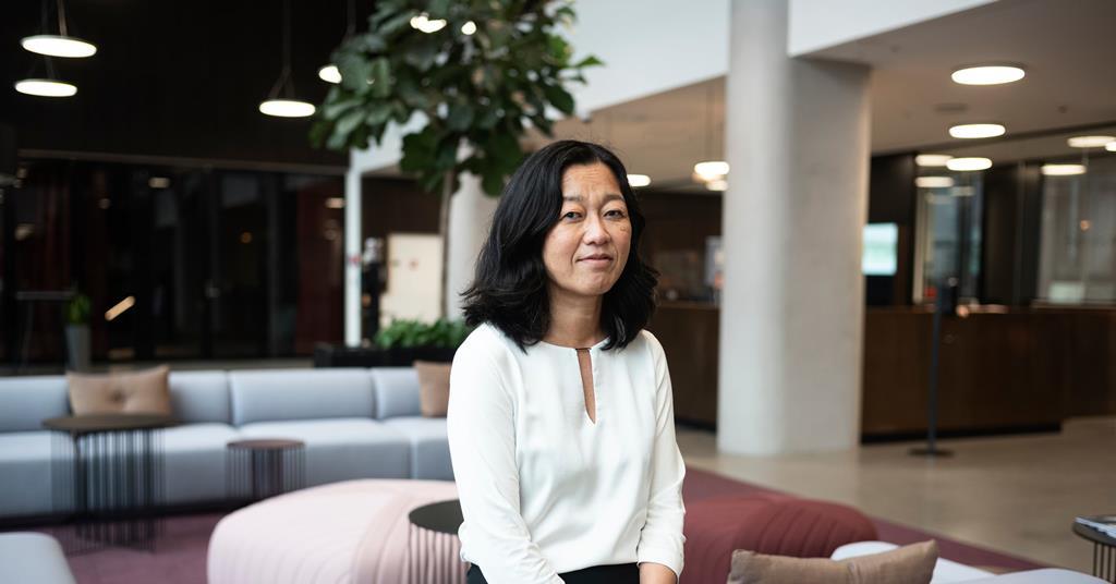 Denmark’s PFA reduces equities overweight ahead of Trump’s tariffs ...