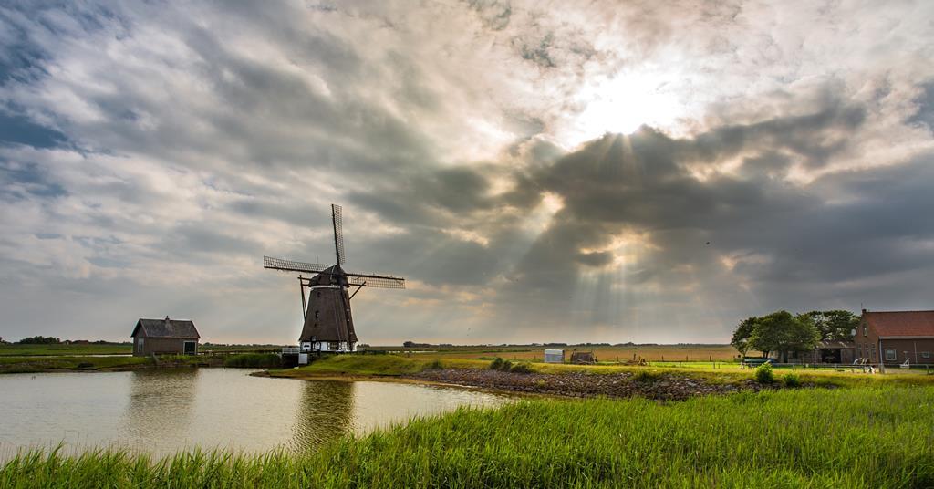 Dutch pension fund duo picks Robeco for €1.15bn private corporate debt ...