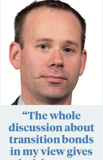 Transition bonds: Questions of transition | Special Report | IPE