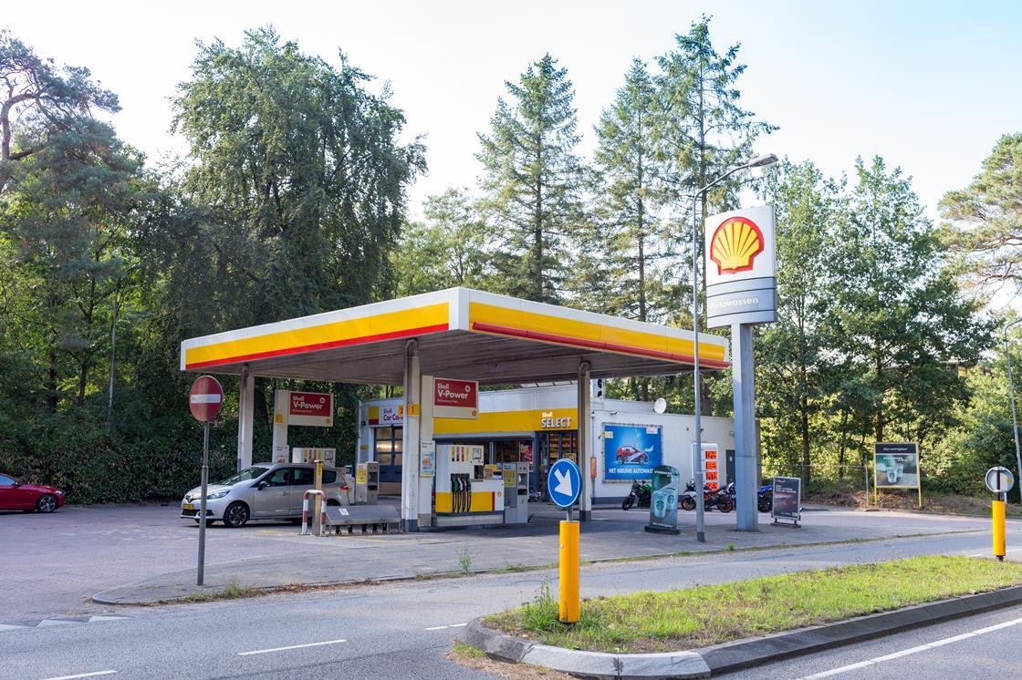 Shell must enhance liquefied natural gas disclosures, says Brunel ...