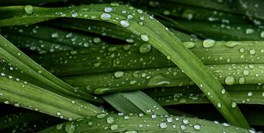 PensionsEurope calls for single set of ESG data points for all EU ...