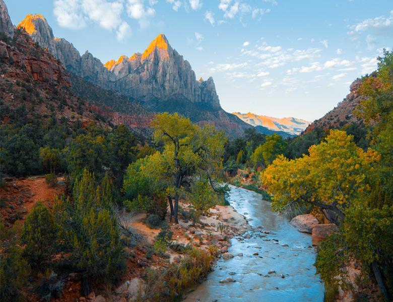 NBIM lays out expectations on nature | News | IPE